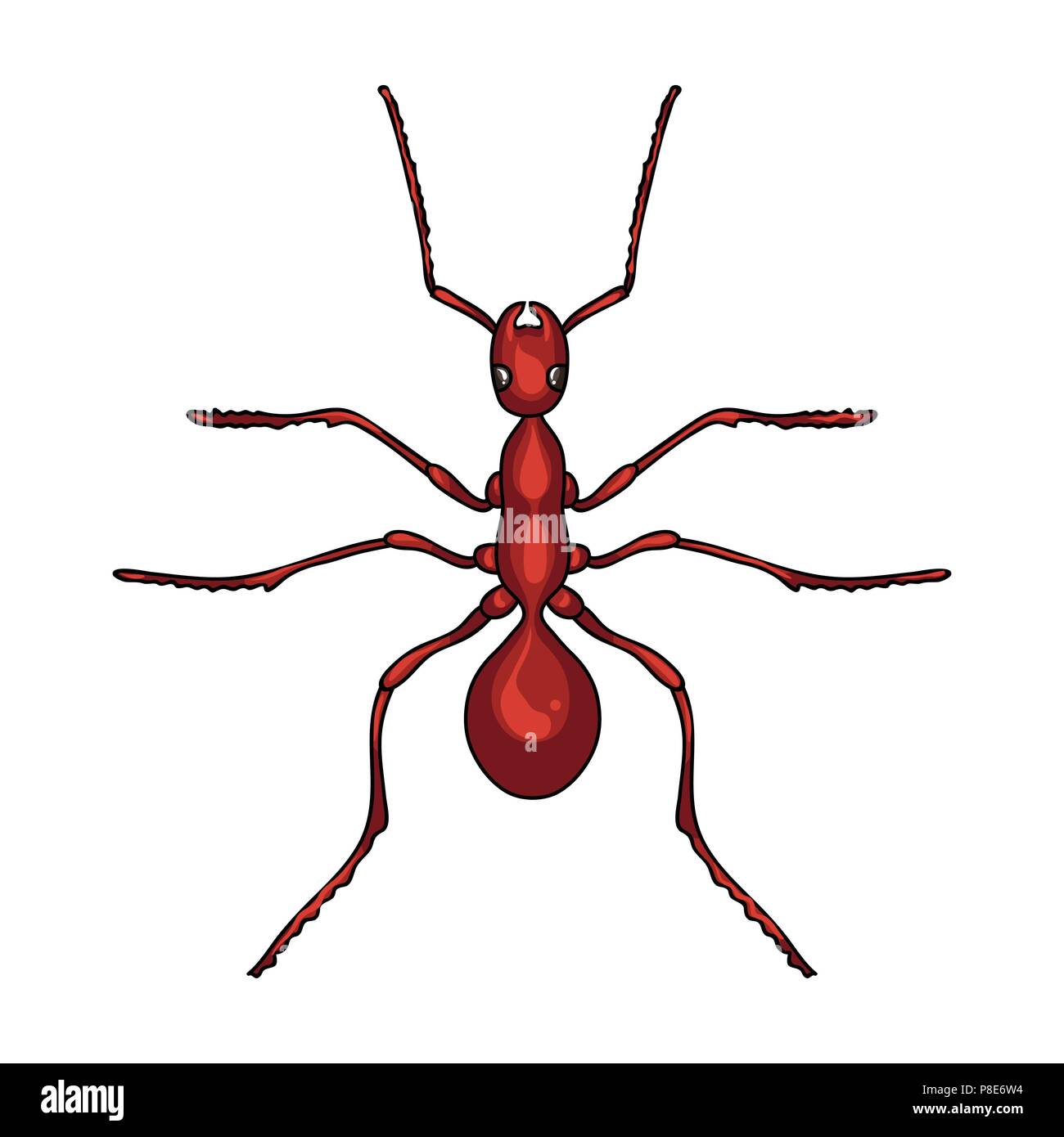 Insect ant single icon in cartoon style for design.Pest Control Service ...