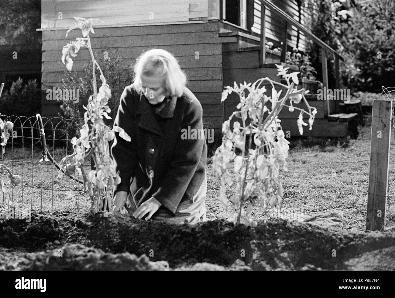 Frances 1982 kim stanley hi-res stock photography and images - Alamy