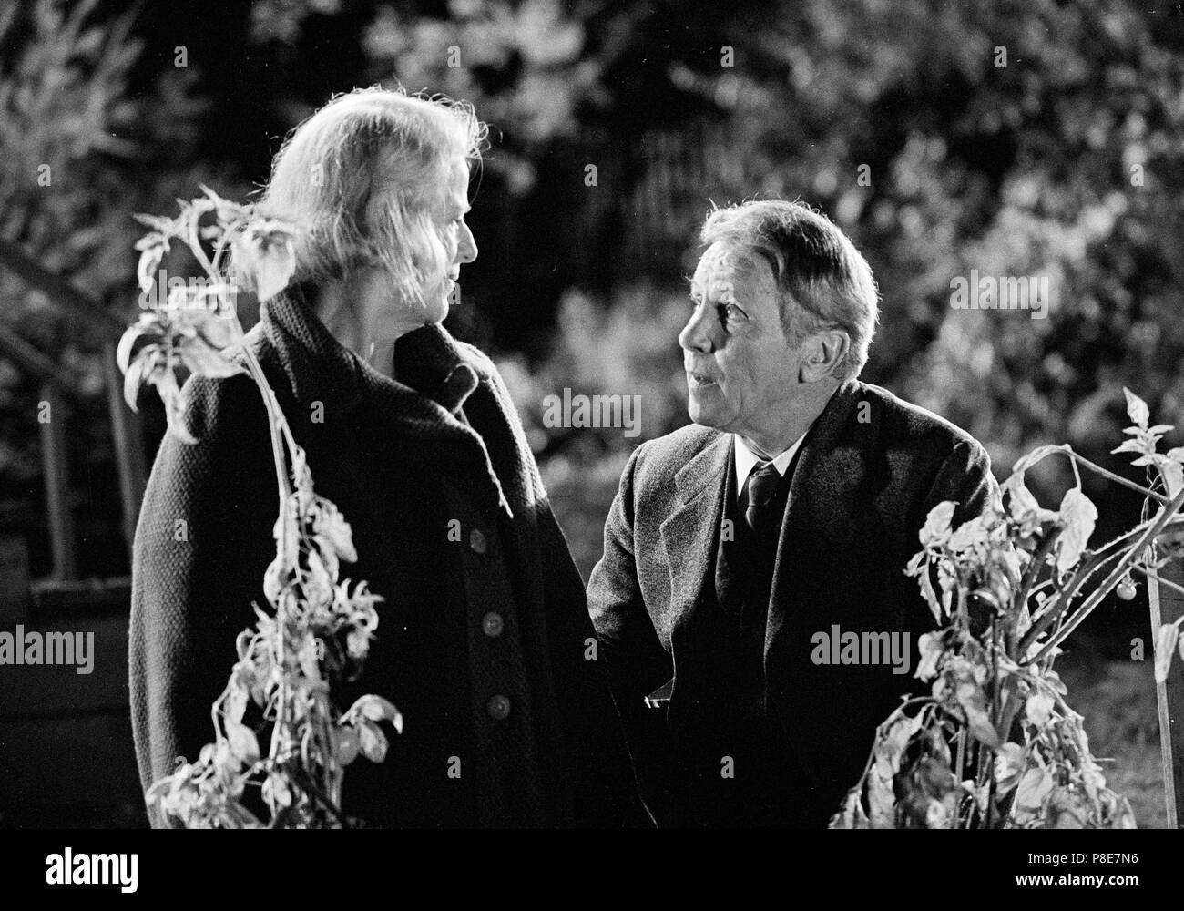 Frances (1982) Kim Stanley, Date: 1982 Stock Photo - Alamy