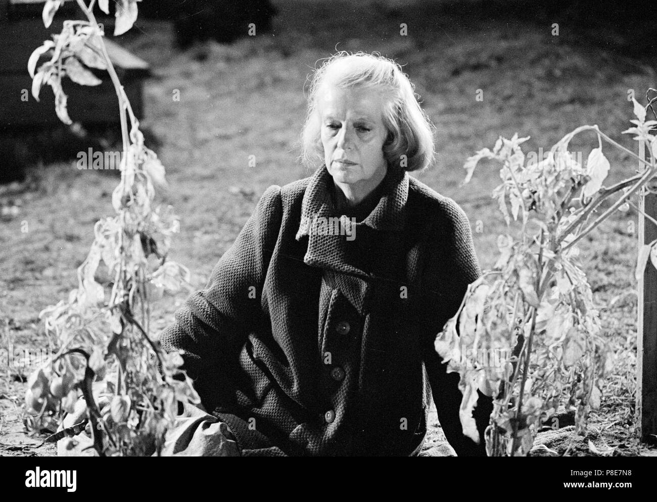 Frances (1982) Kim Stanley, Date: 1982 Stock Photo - Alamy