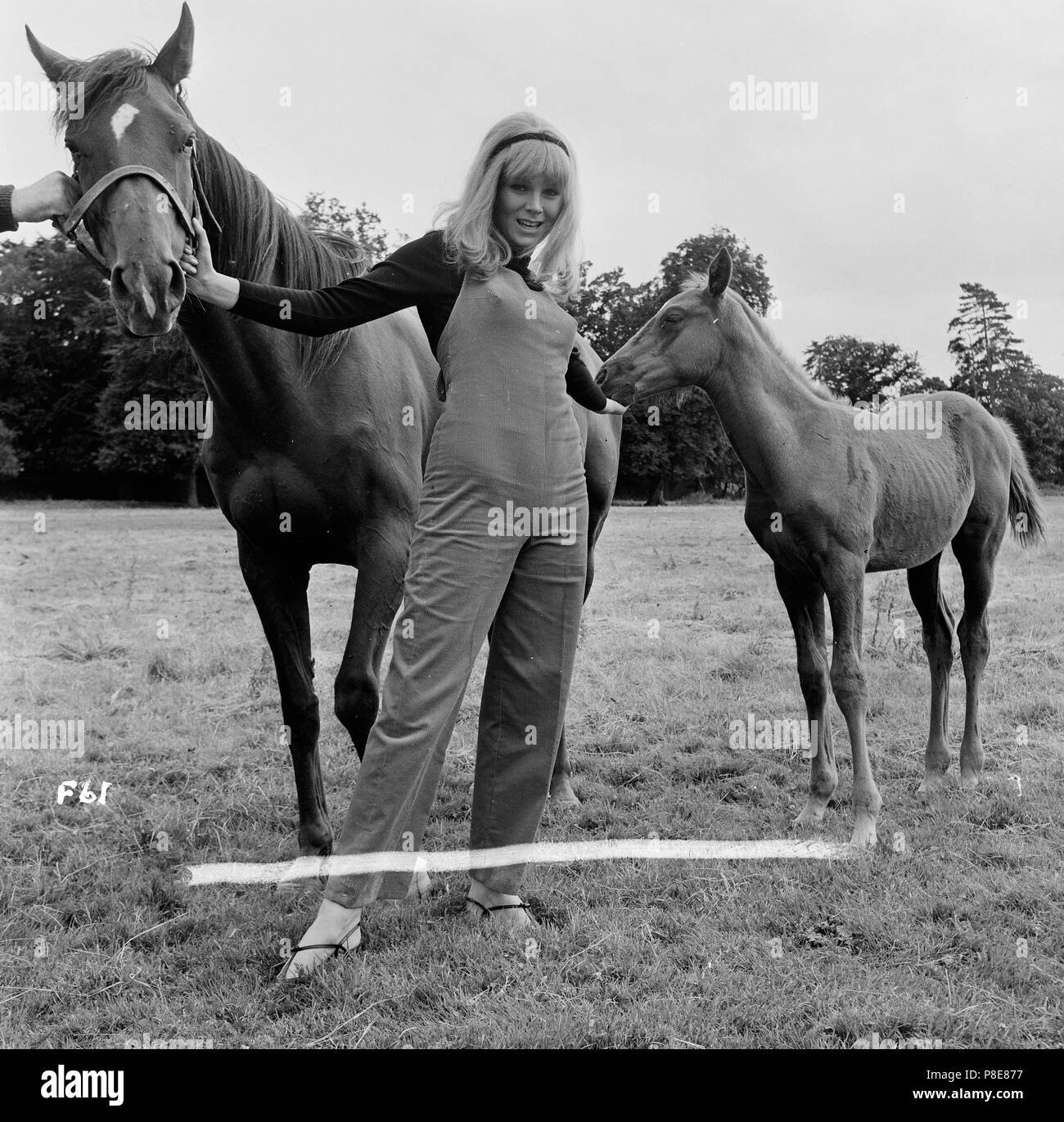 Frankenstein Created Woman (1967) Susan Denberg, Date: 1967 Stock Photo ...