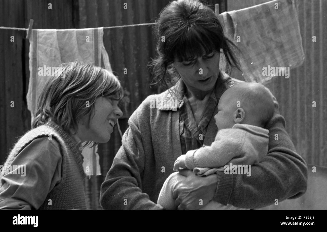 June brown hi-res stock photography and images - Alamy