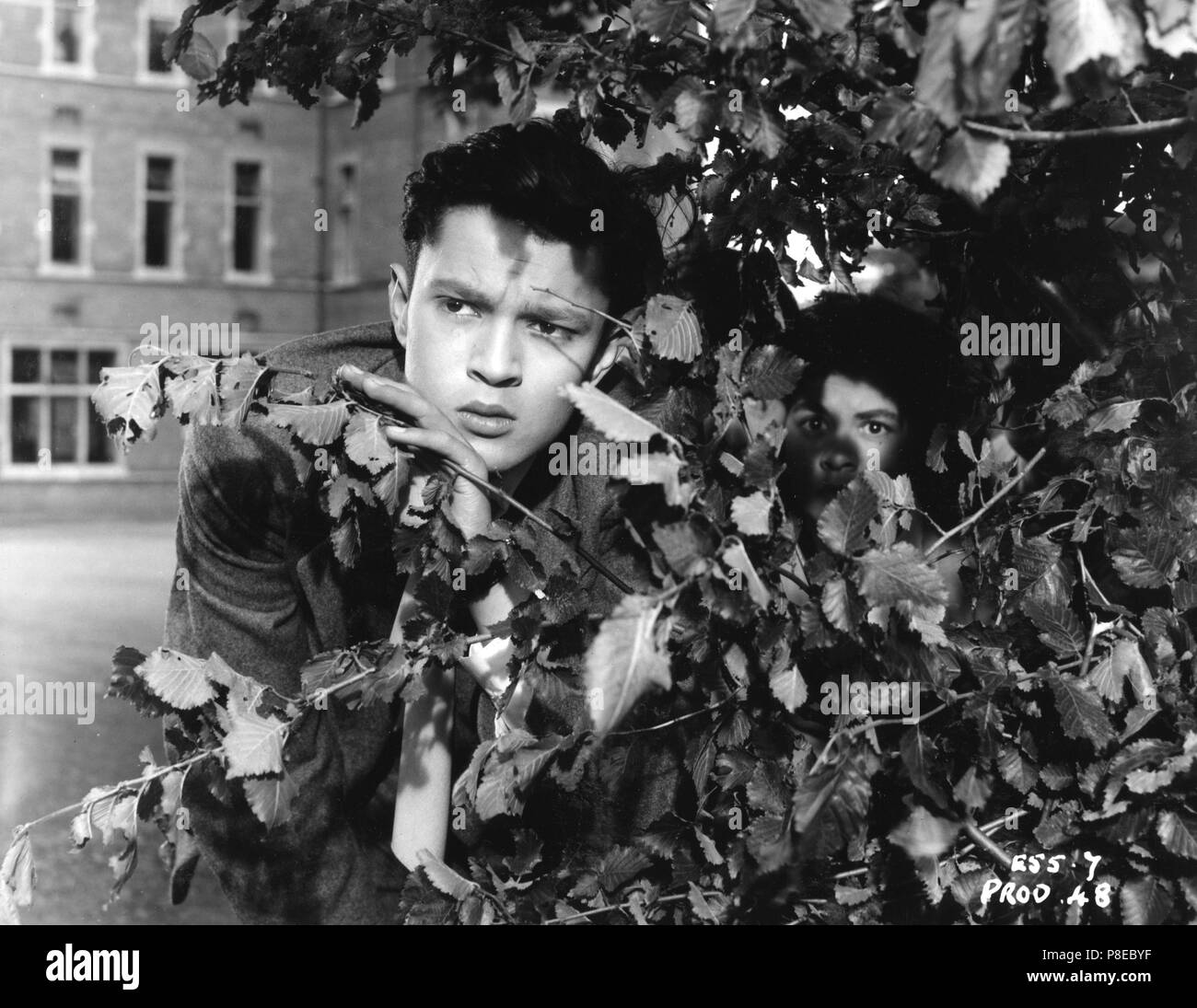 It's Great to be Young (1956) Jeremy Spenser, Date: 1956 Stock Photo ...