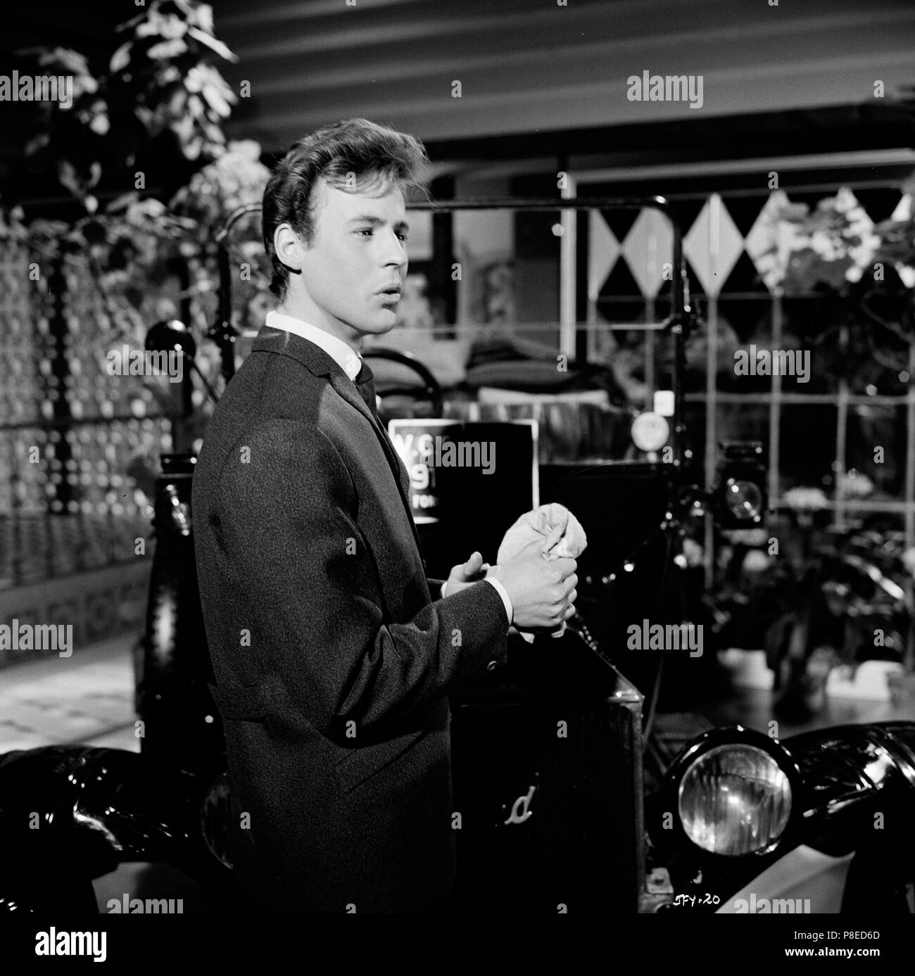 Wynter hi-res stock photography and images - Alamy