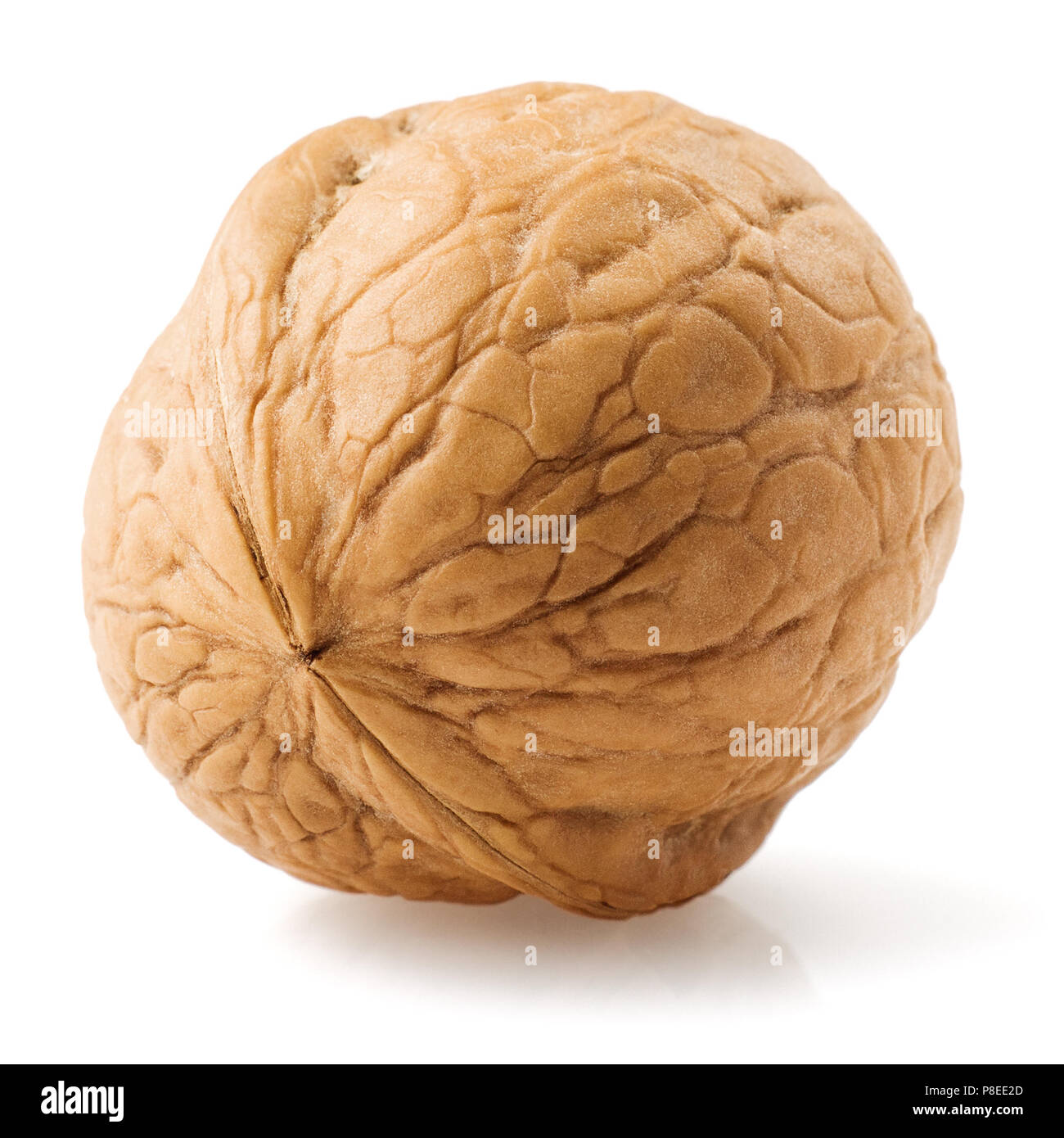 Walnut closeup on white background, isolated Stock Photo - Alamy