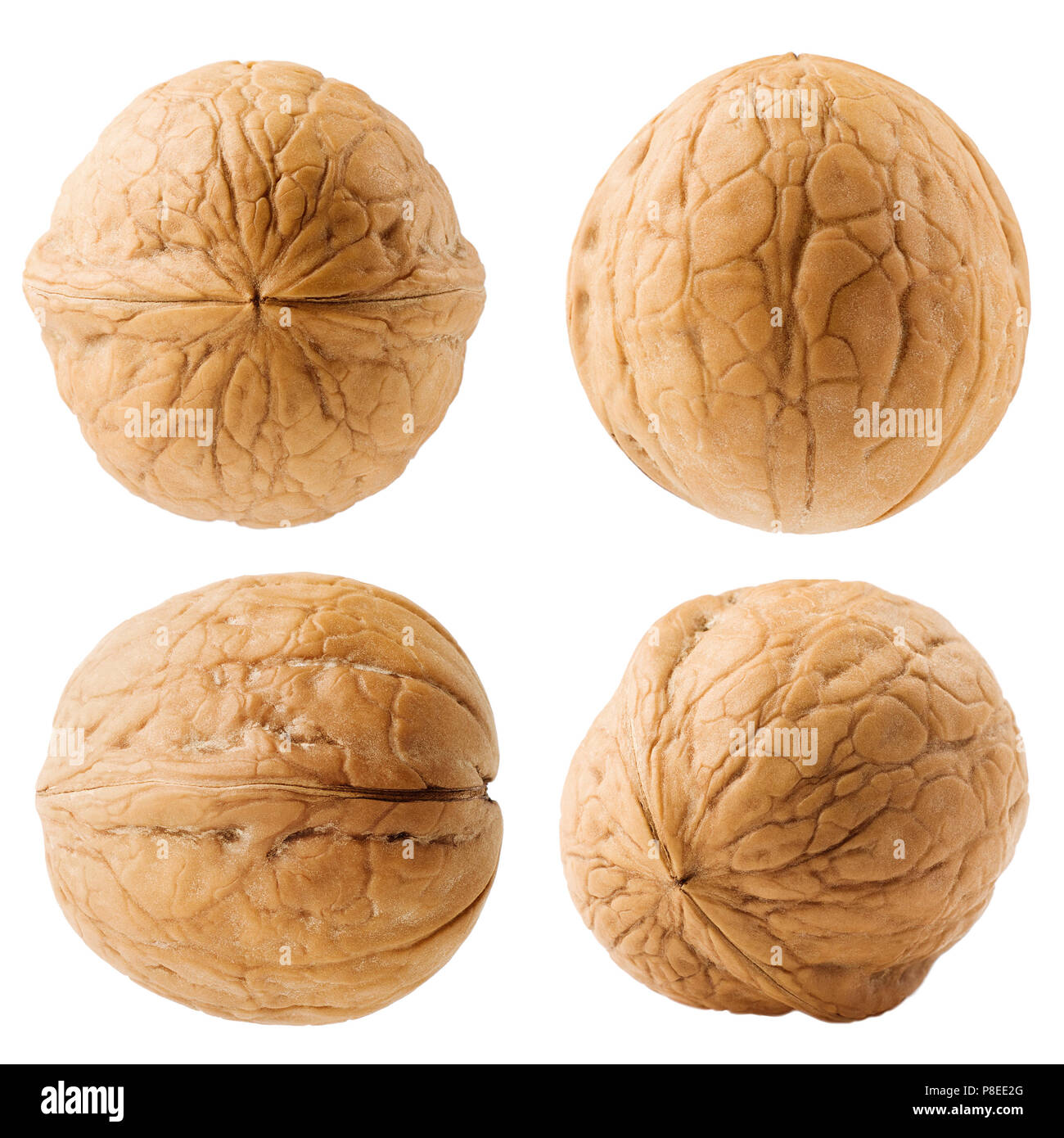 Walnut closeup on white background, isolated Stock Photo - Alamy