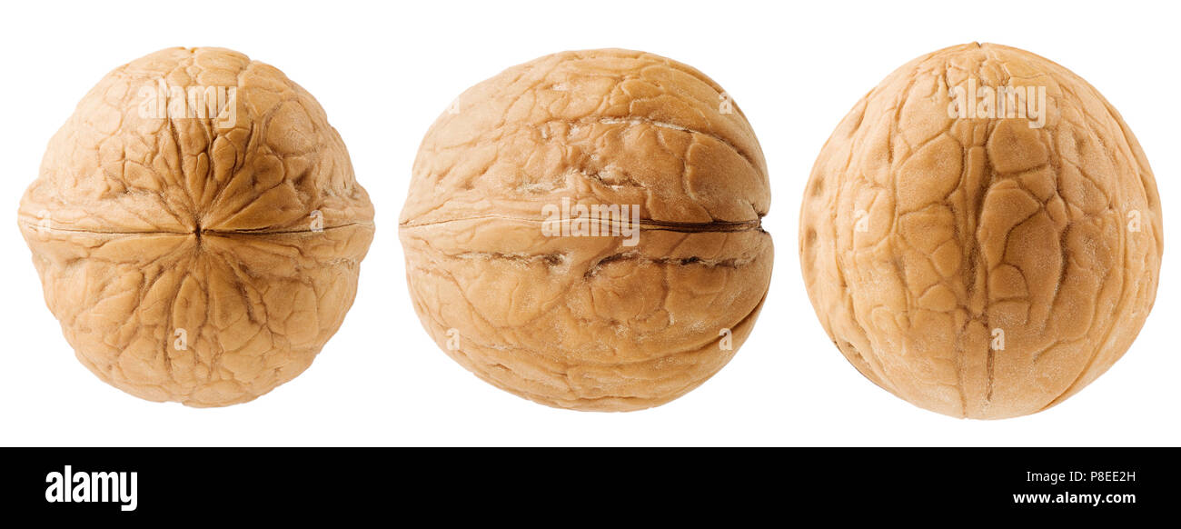Walnut closeup on white background, isolated Stock Photo - Alamy