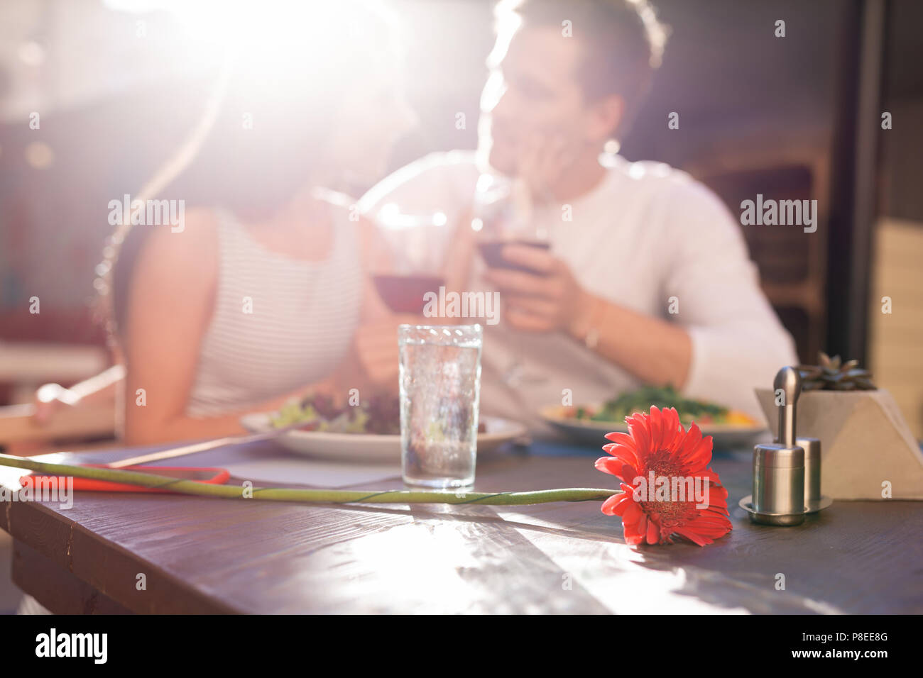 Caring gallant man presenting flower his wife Stock Photo - Alamy
