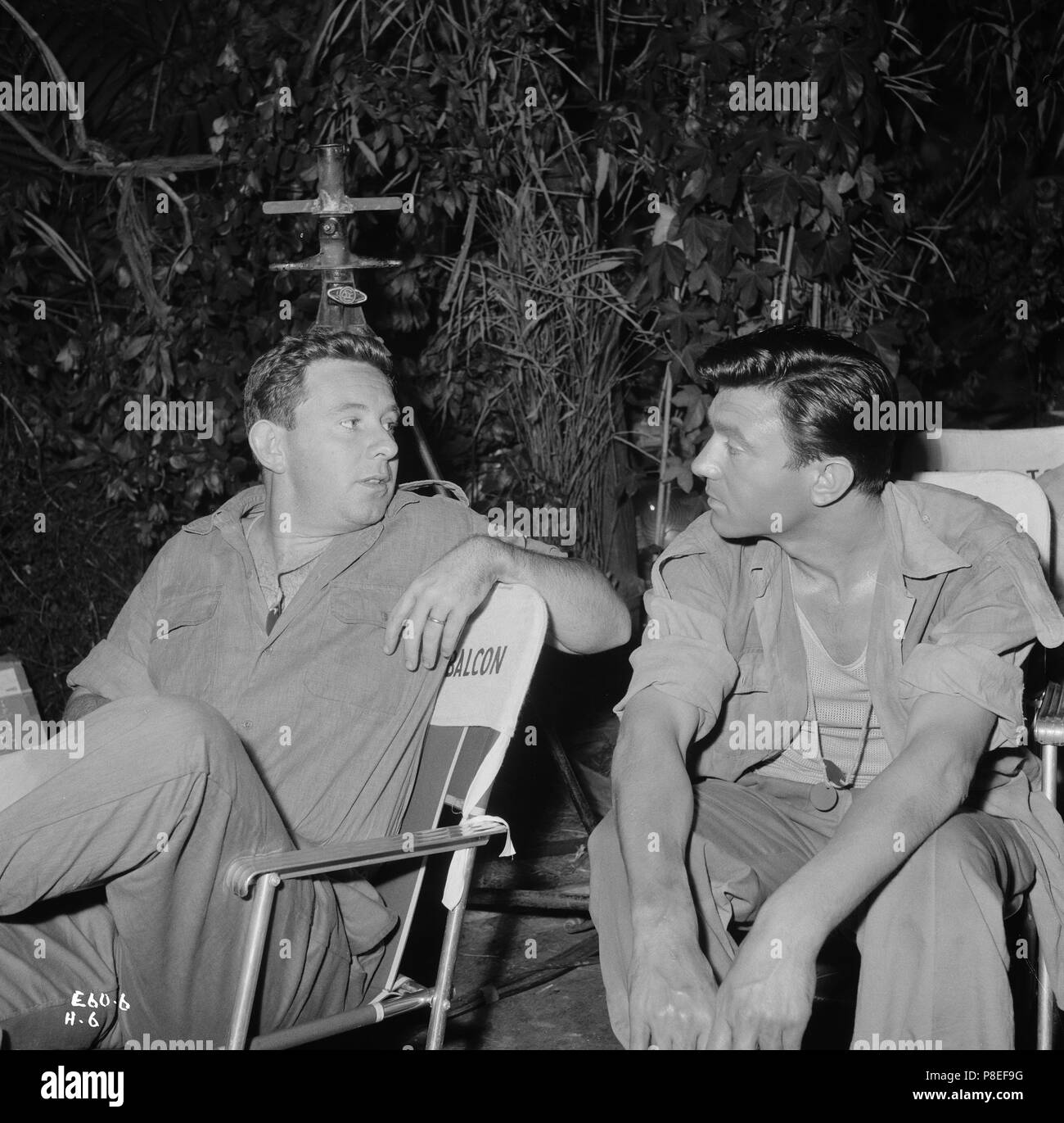 The Long and the Short and the Tall (1961) Laurence Harvey, John ...