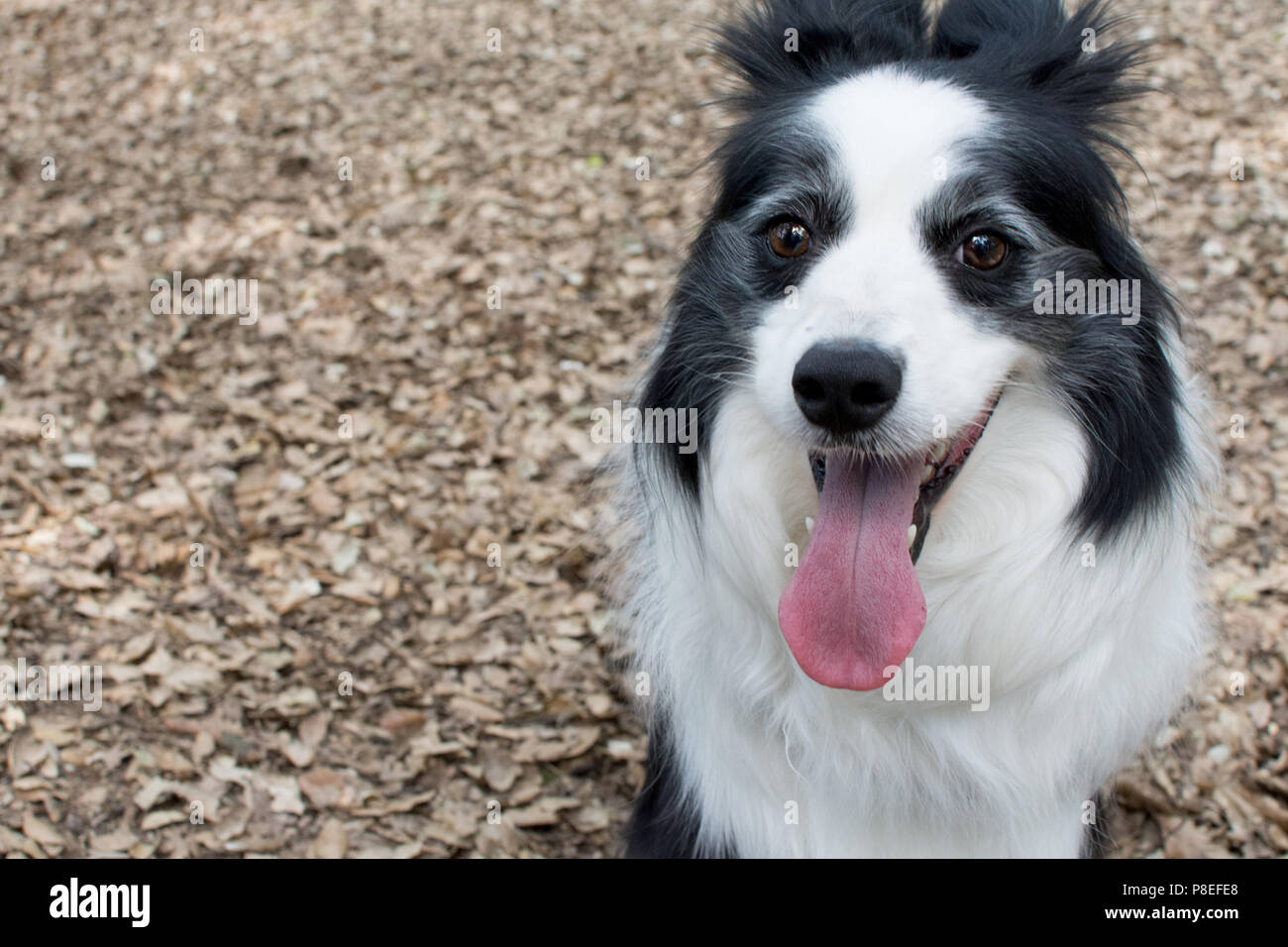 Heat stroke hi-res stock photography and images - Alamy