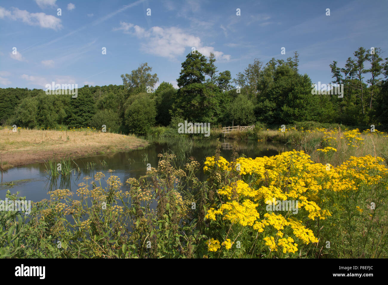 River meander uk hi-res stock photography and images - Alamy