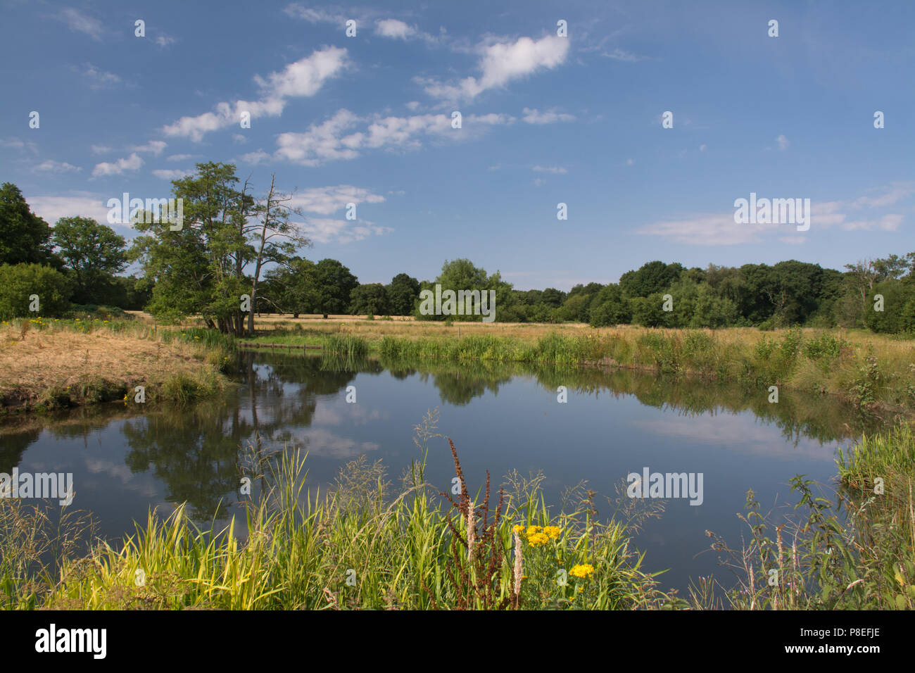 River meander uk hi-res stock photography and images - Alamy