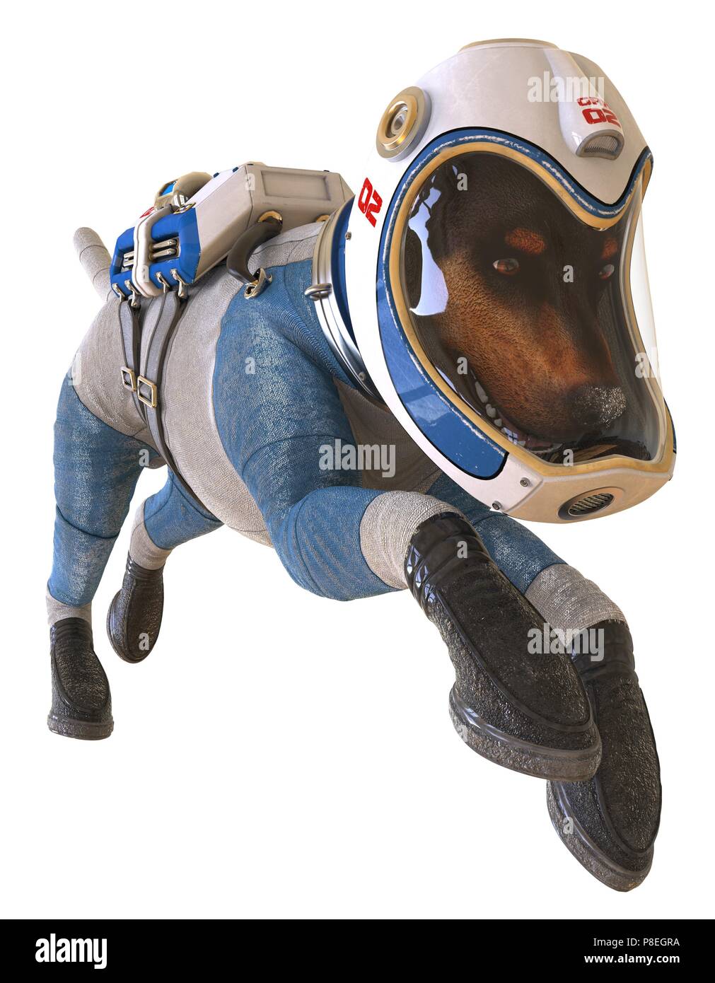 Dog in an astronaut's space suit. 3D illustration isolated on white ...