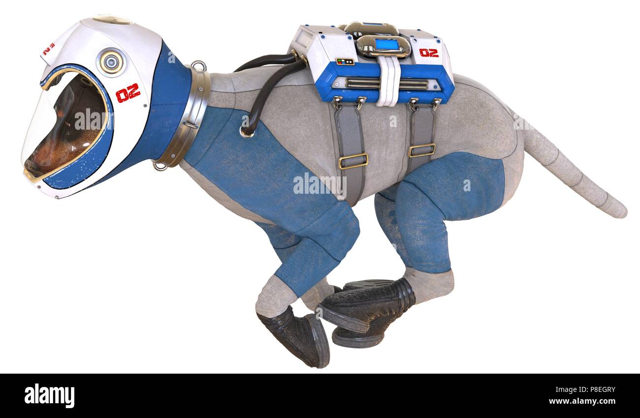 Dog in an astronaut's space suit. 3D illustration isolated on white ...