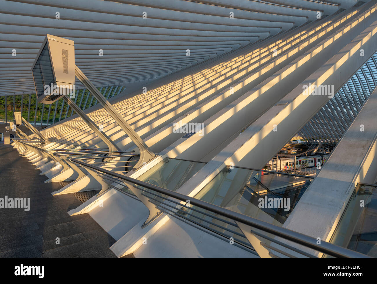 Liege Guillemins Station in Belgium, Architect Santiago Calatrava Stock ...