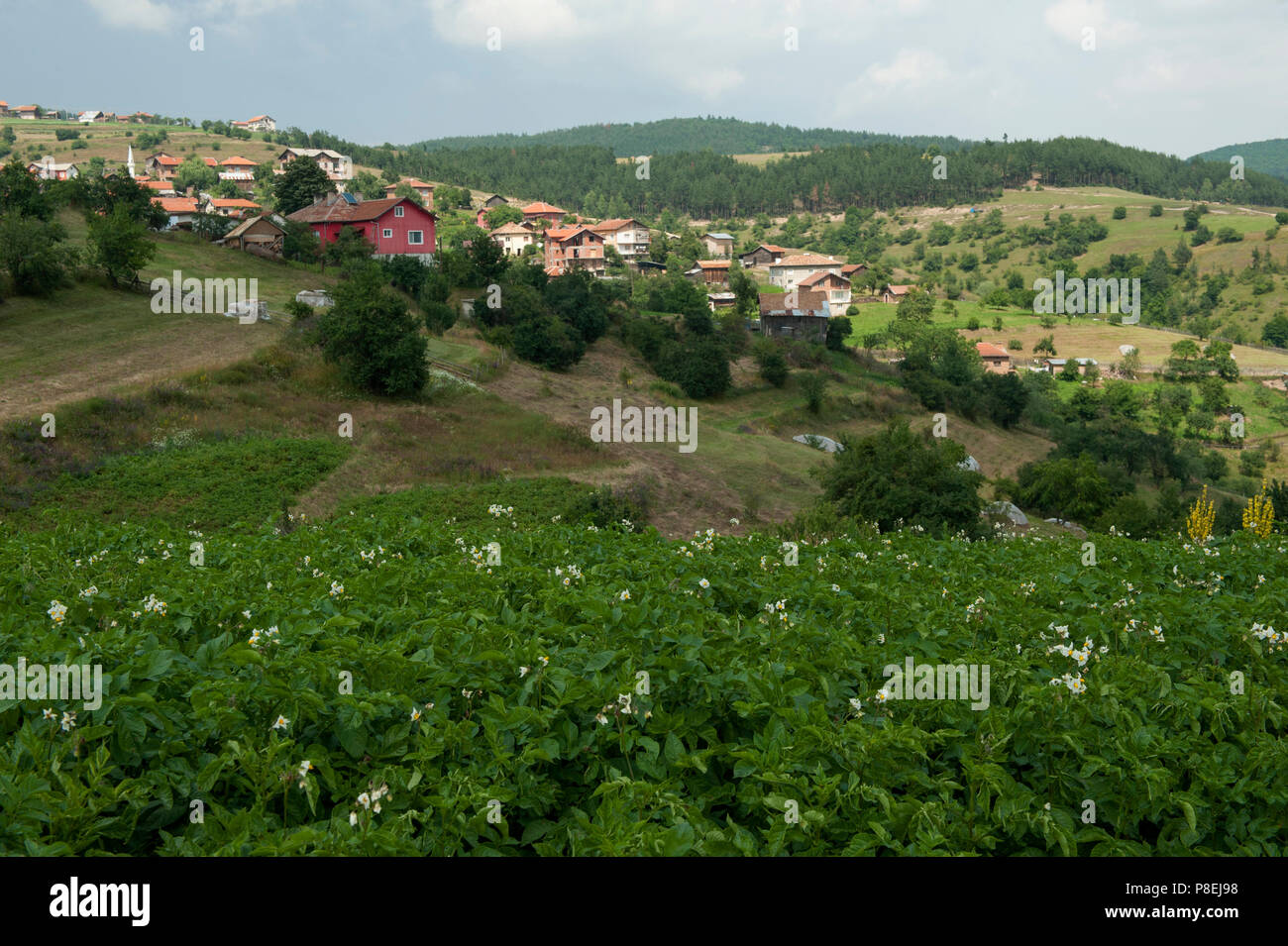 Rural Life In The Bulgarian Countryside Stock Photo - Alamy