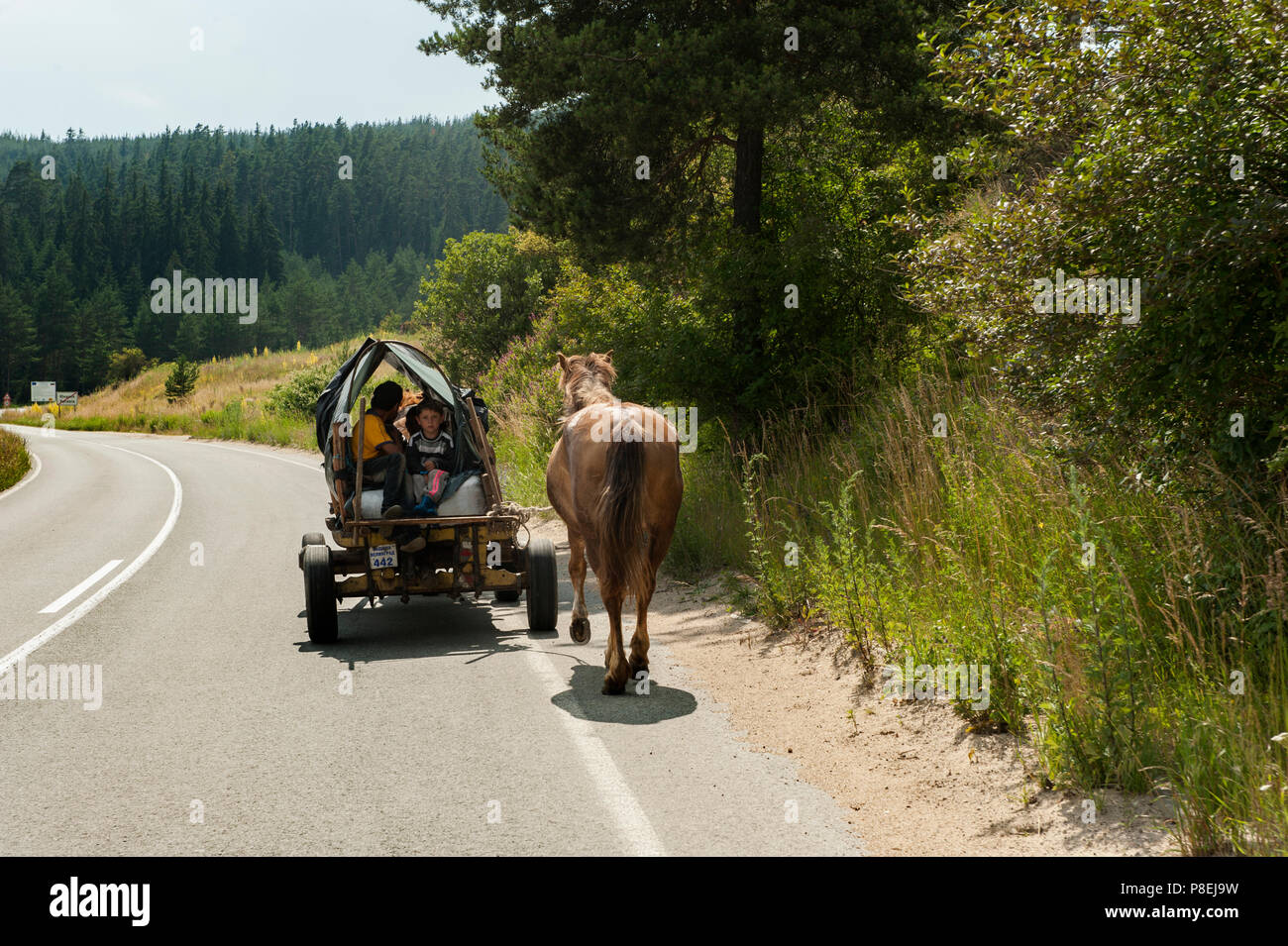 Sofia bulgarian gypsy hi-res stock photography and images - Alamy