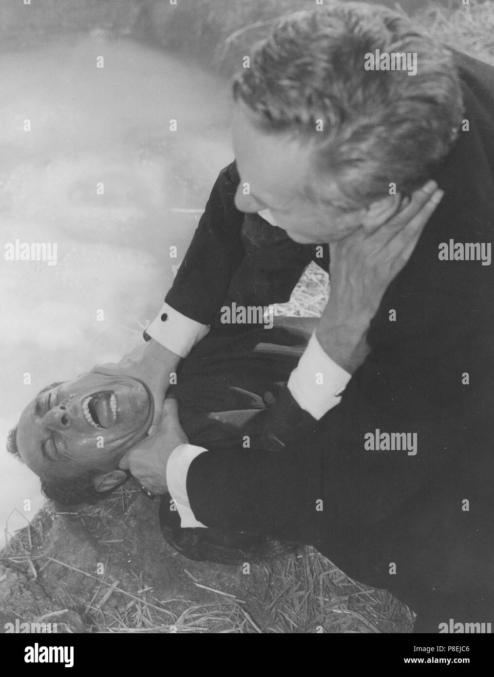 The Reptile (1966) Noel Willman, Date: 1966 Stock Photo - Alamy