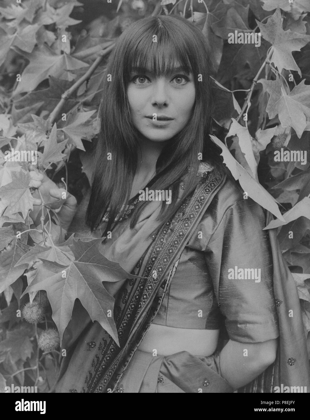 Jacqueline pearce hi-res stock photography and images - Alamy