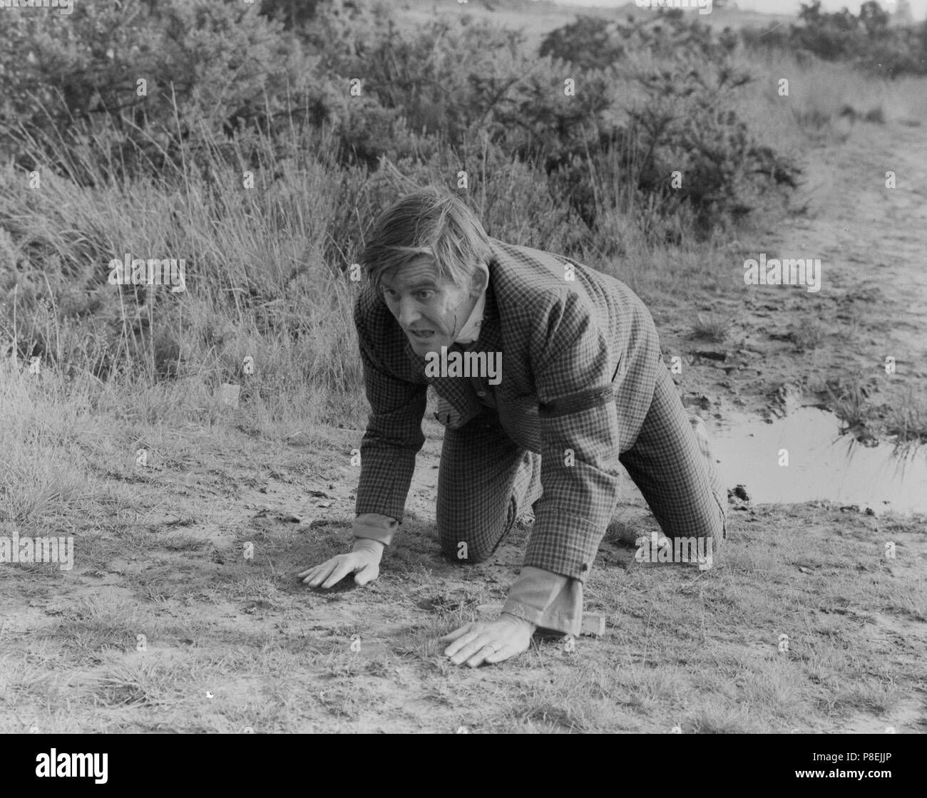 The Reptile (1966) Ray Barrett, Date: 1966 Stock Photo - Alamy