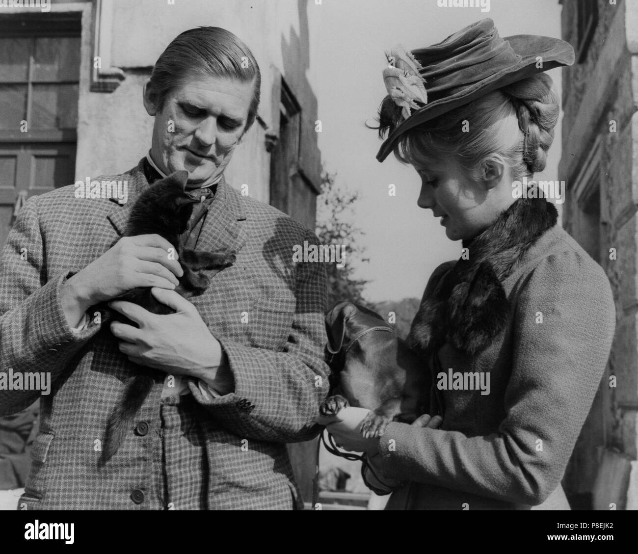 The Reptile (1966) Jennifer Daniel, Ray Barrett, Katy the Kitten, Date ...