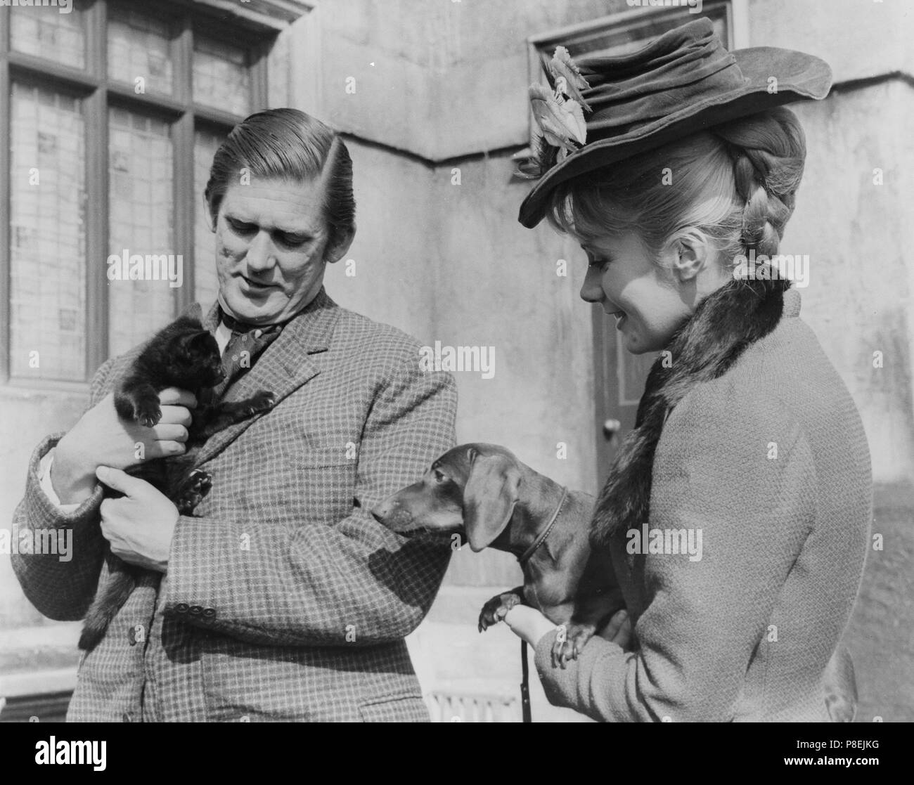 The Reptile (1966) Jennifer Daniel, Ray Barrett, Katy the Kitten, Date ...