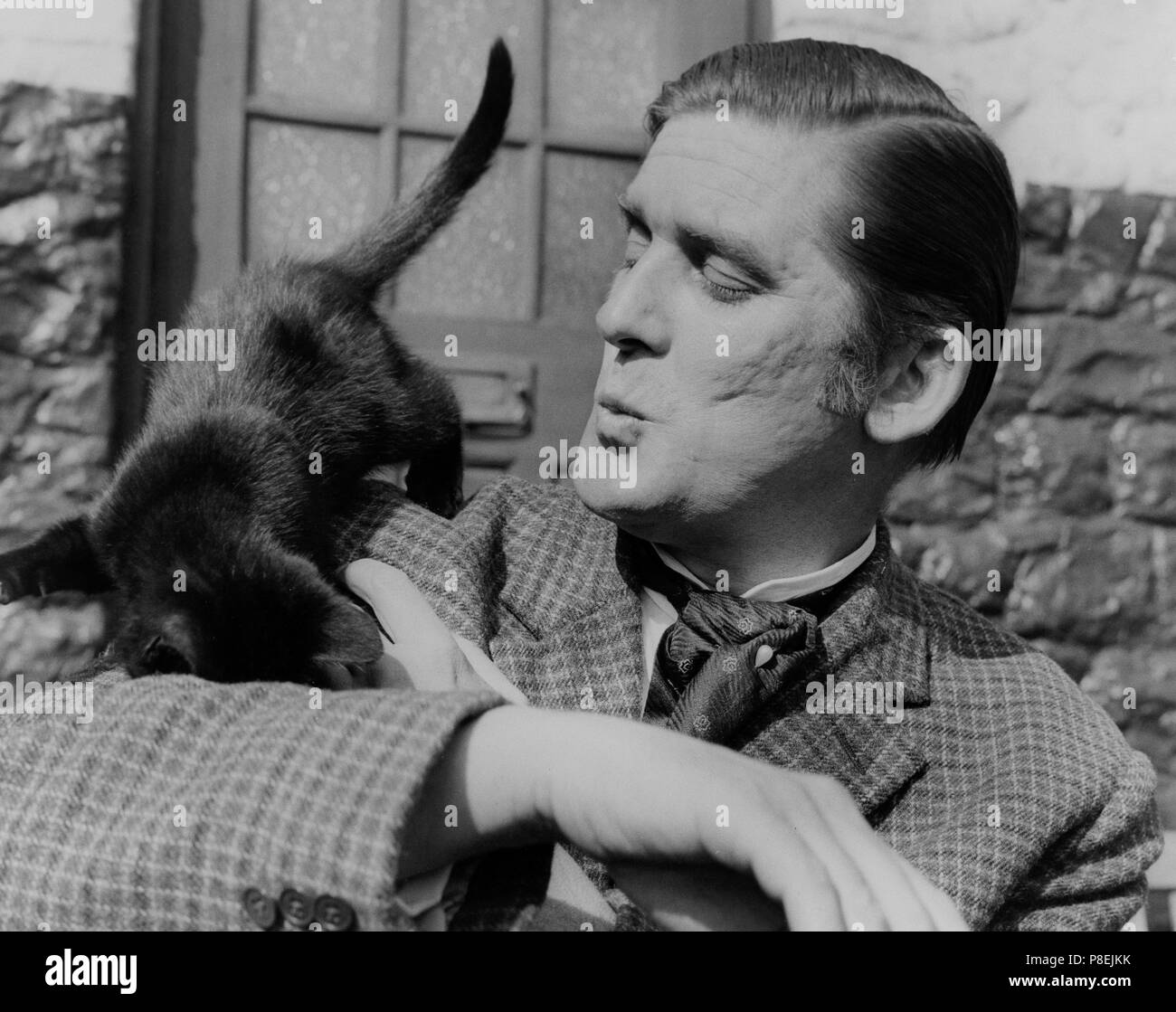 The Reptile (1966) Ray Barrett, Katy the Kitten, Date: 1966 Stock Photo ...
