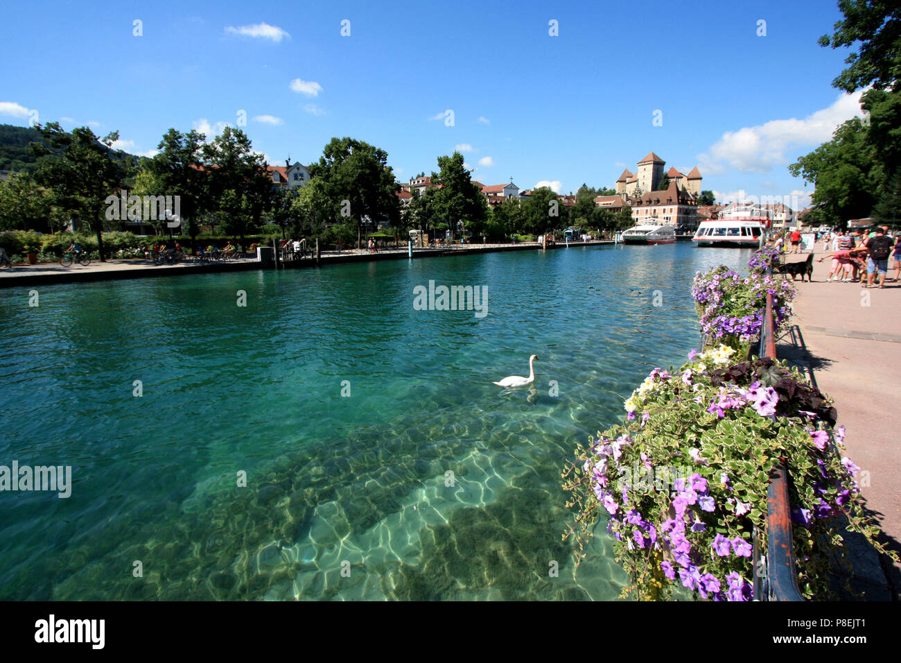 Thiou river estuary with the Annecy castle in the background, Annecy ...