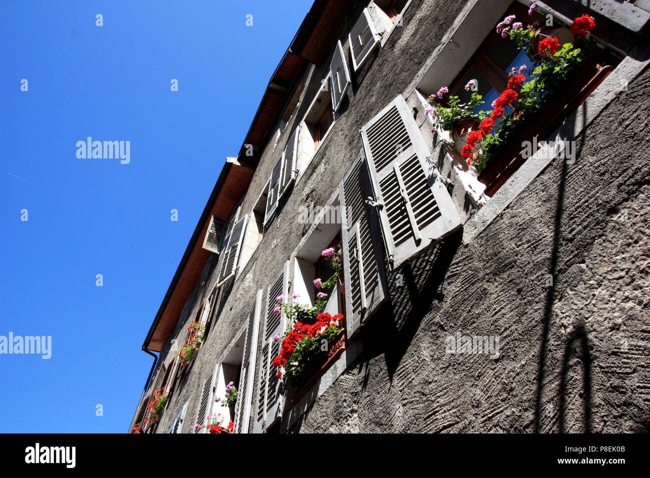 Typically French windows with grayish-white shutters, decorated with ...