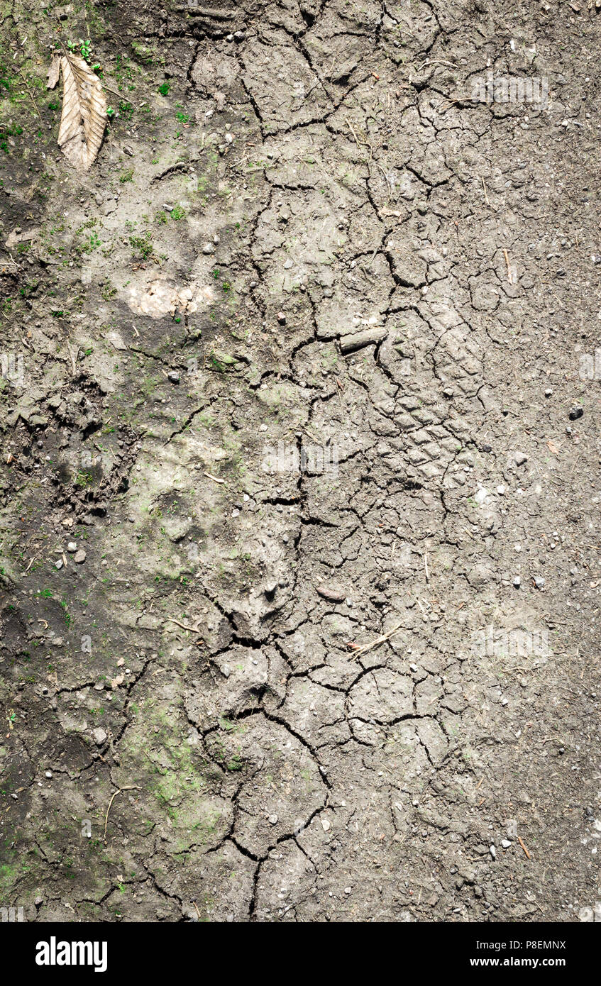 Surface crack land hi-res stock photography and images - Alamy