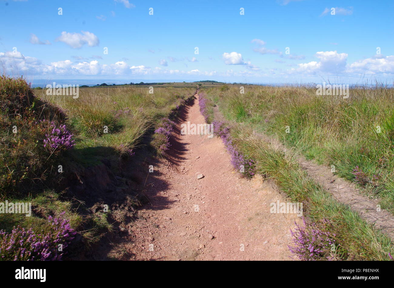 Round barrow cemetery hi-res stock photography and images - Alamy
