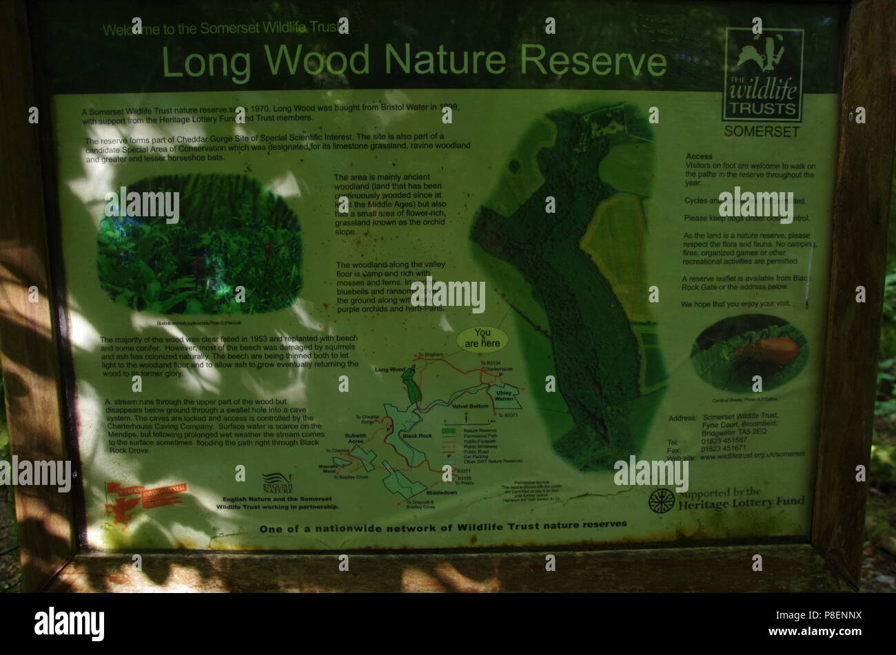 Long wood nature reserve hi-res stock photography and images - Alamy