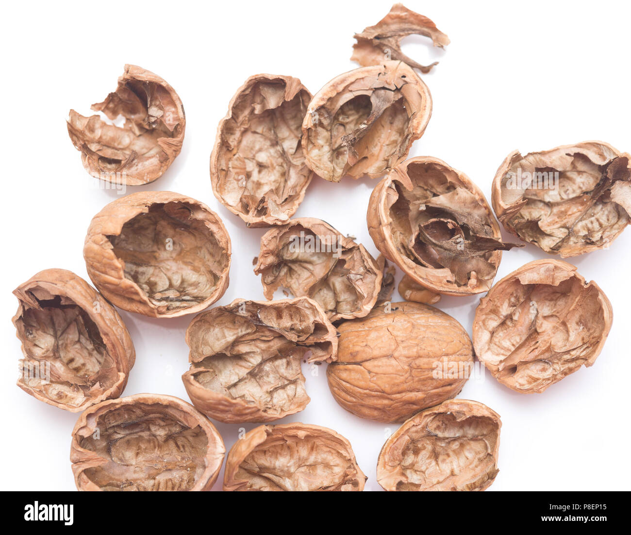 Walnut shell isolated on white background Stock Photo - Alamy