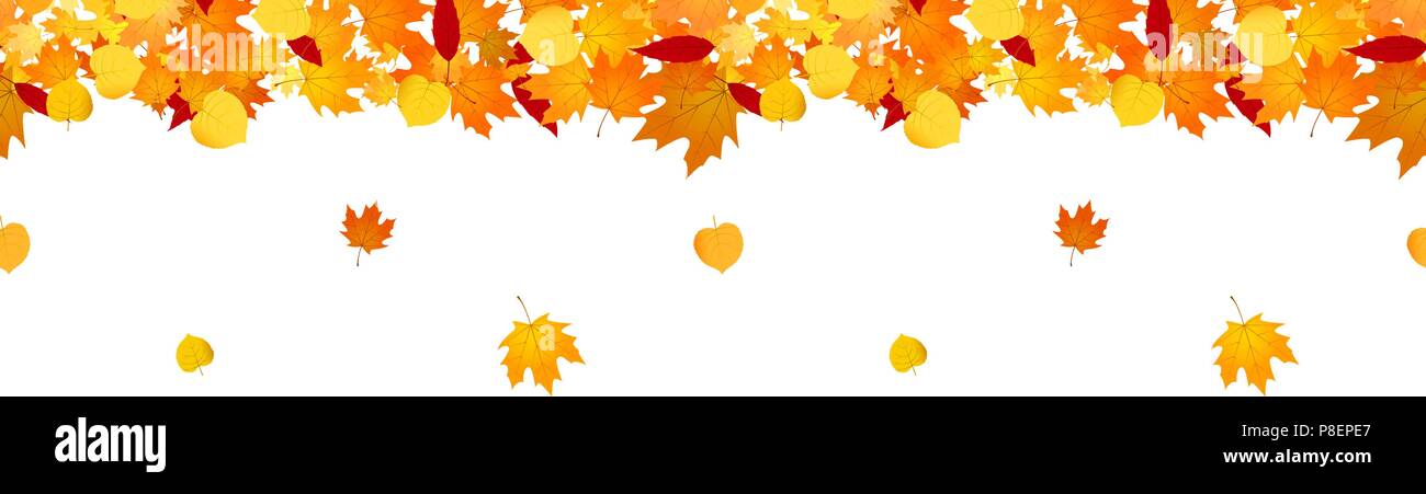 Autumn falling leaves seamless header for websites and decor Stock ...