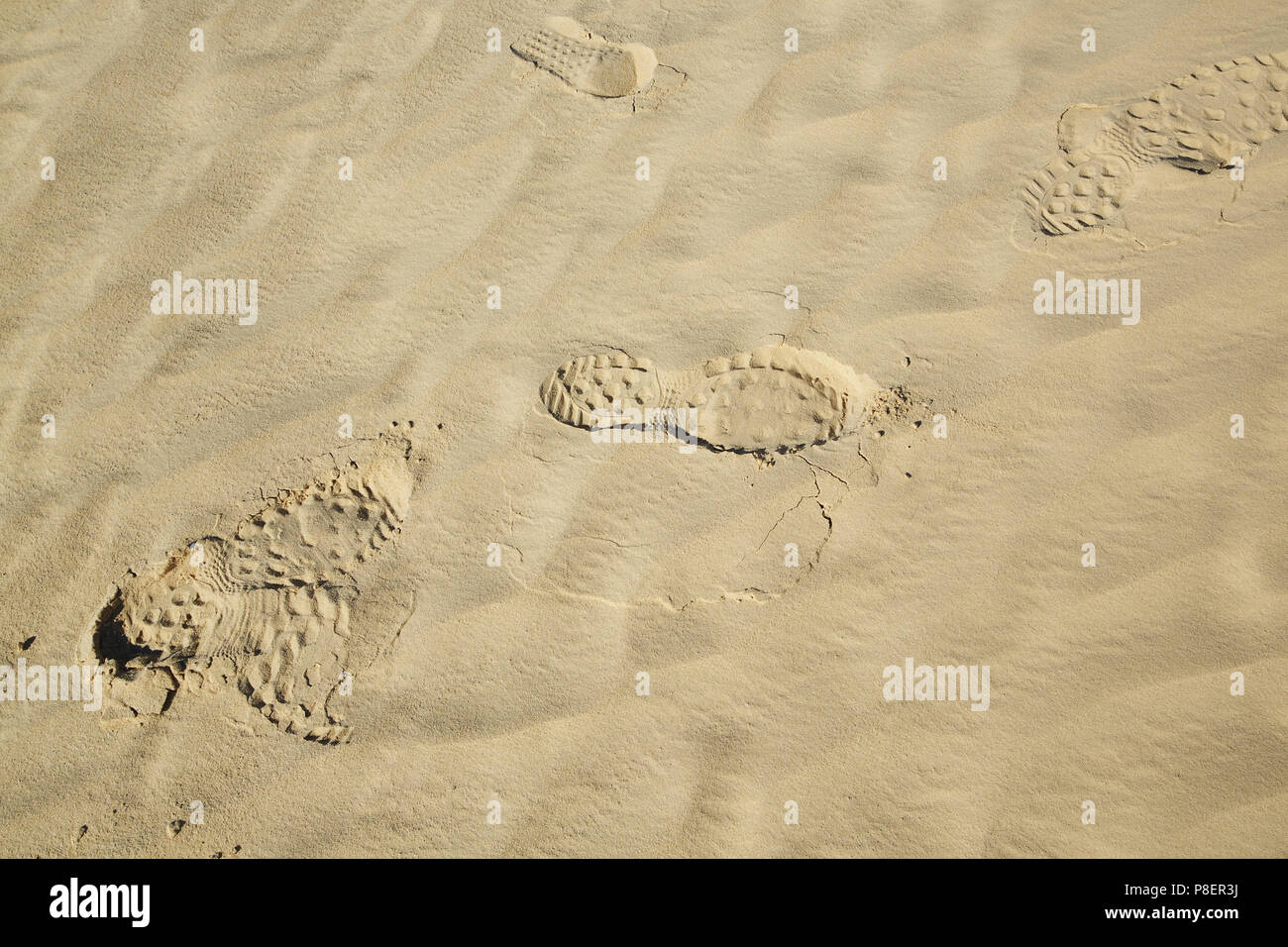 Footprints on a sand surface in the Sahara Desert Stock Photo - Alamy