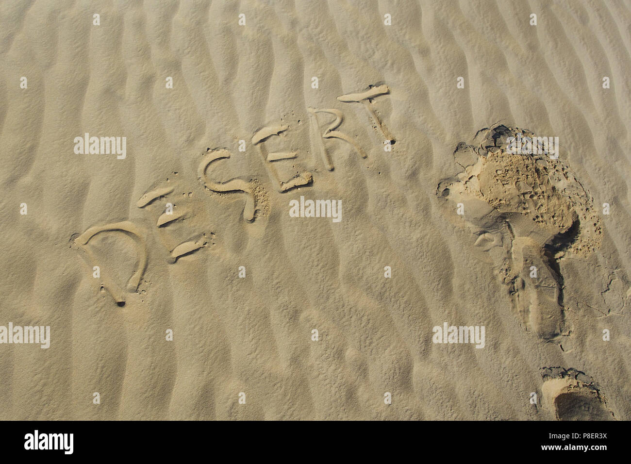 The word DESERT is written on a sand surface in Sahara Desert Stock ...