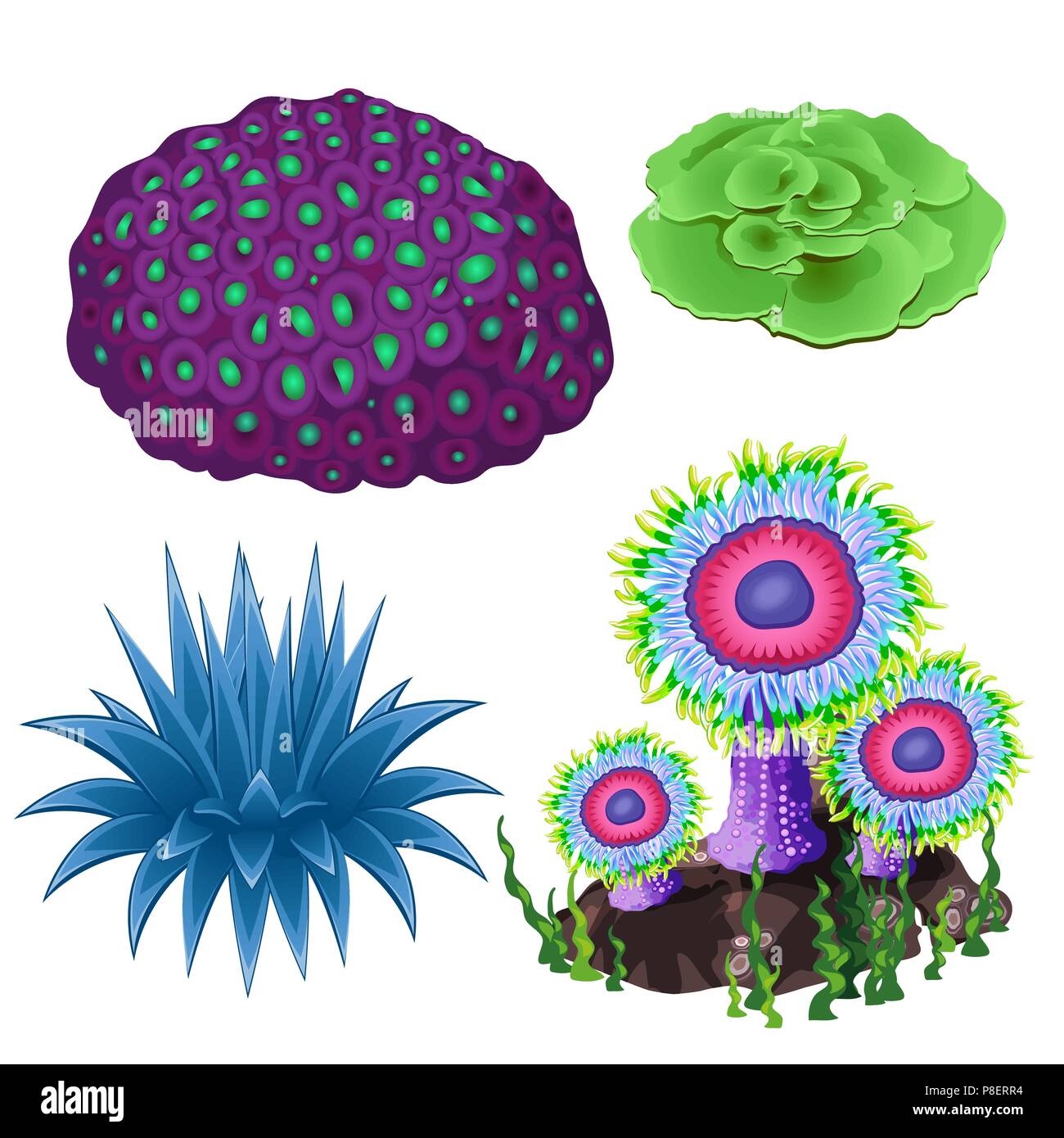 Set of colorful corals and polyps isolated on white background. Vector ...