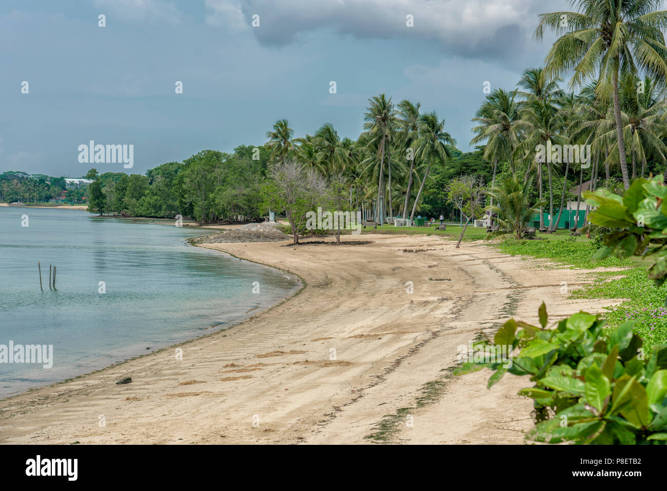Singapore - July 8,2018: Pasir Ris Park . Beach in pasir Ris Park ...