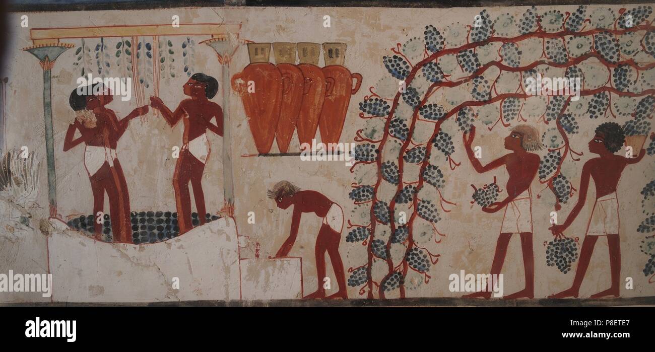Ancient Egypt Grapes Quiz at Lynn Tyer blog