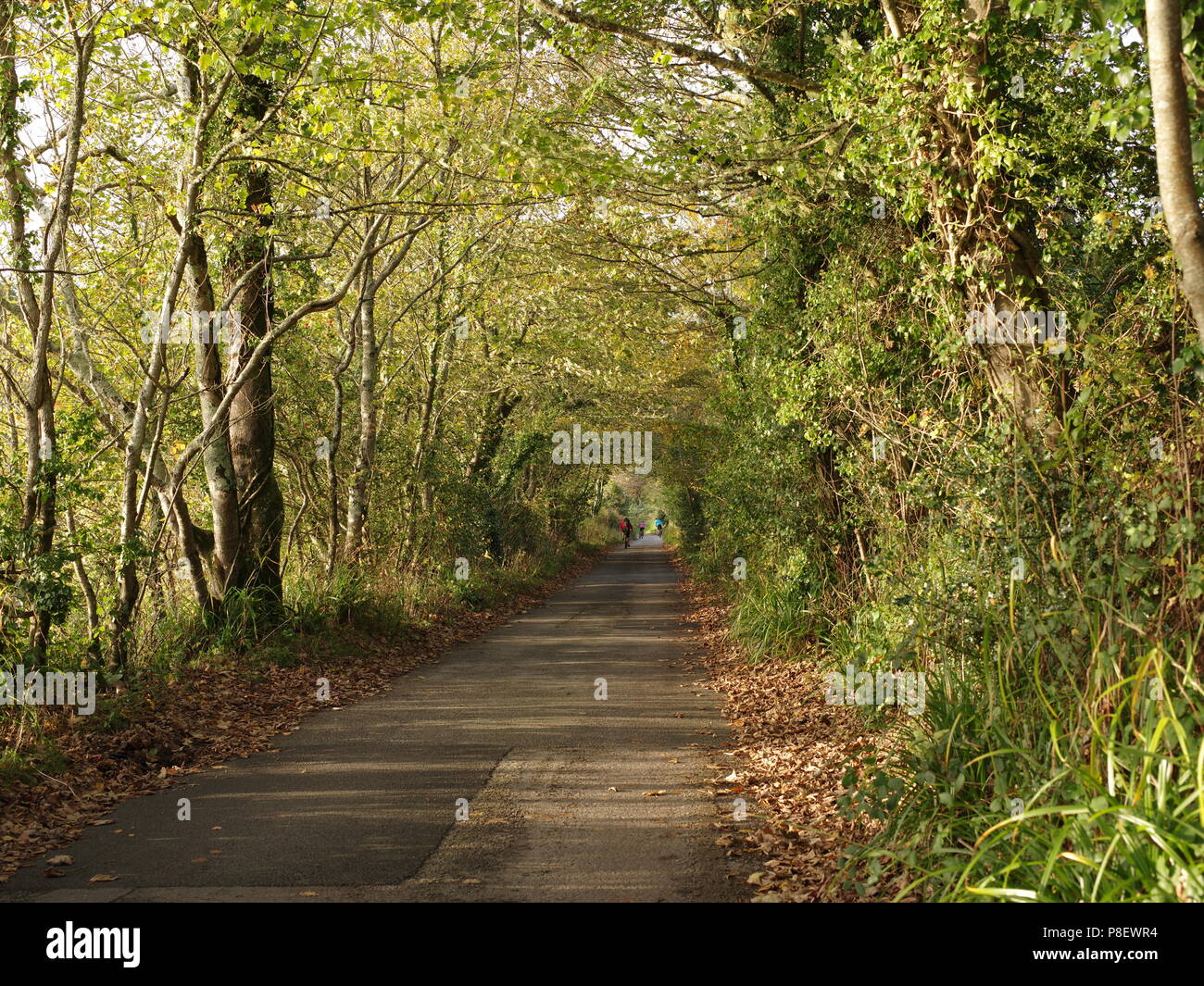 Spring around the corner hi-res stock photography and images - Alamy