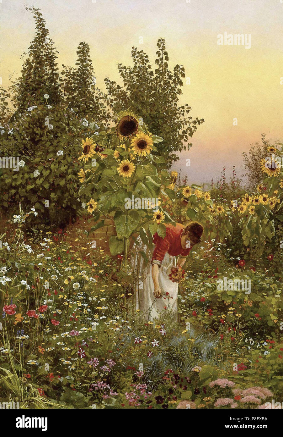 William snape hi-res stock photography and images - Alamy