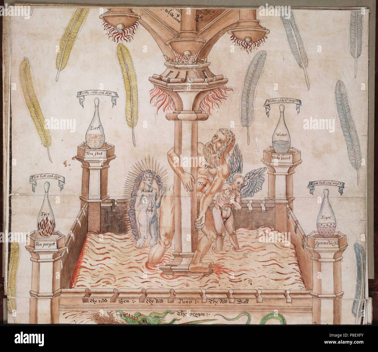 Ripley scroll hi-res stock photography and images - Alamy