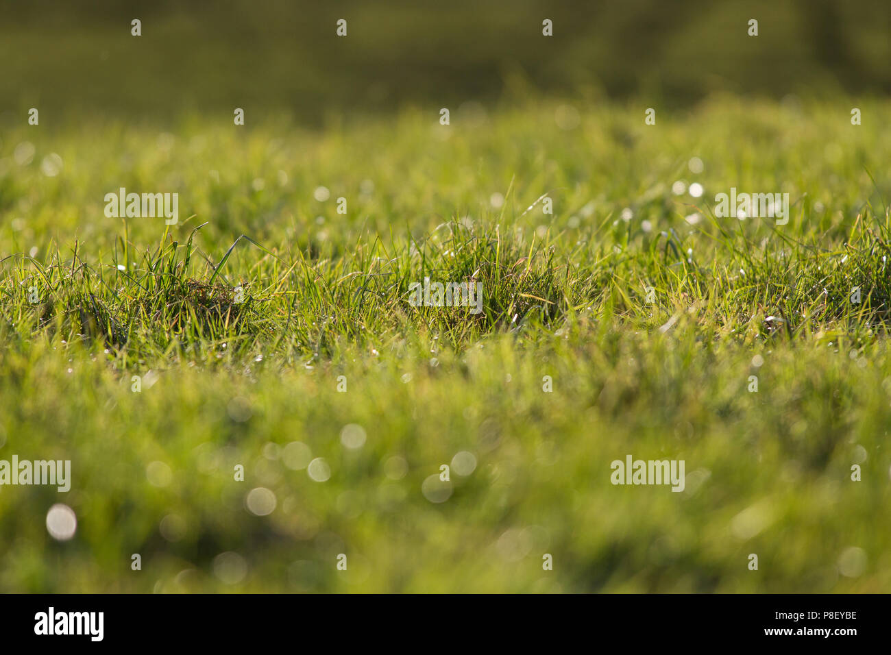 Generic landscape england hi-res stock photography and images - Alamy