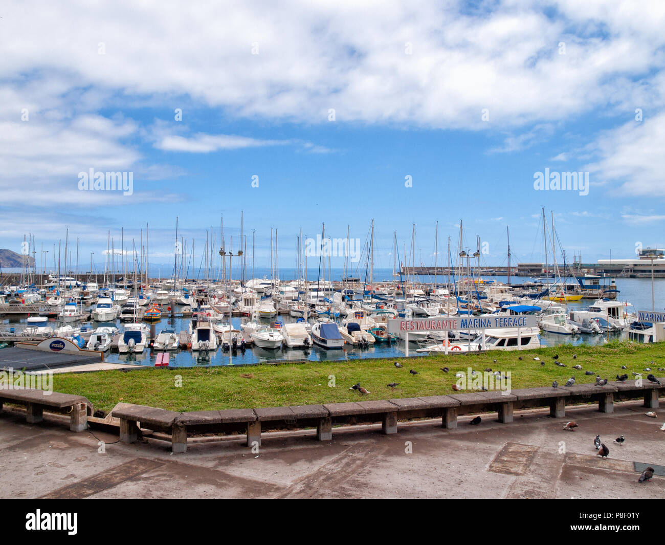View of the yacht port in Funchal, Madeira, Portugal Stock Photo - Alamy