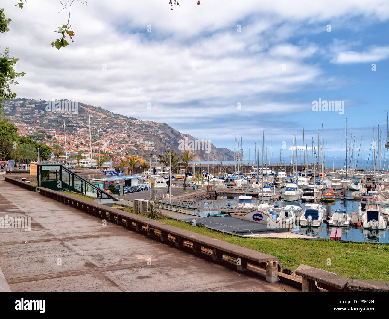 View of the yacht port in Funchal, Madeira, Portugal Stock Photo - Alamy