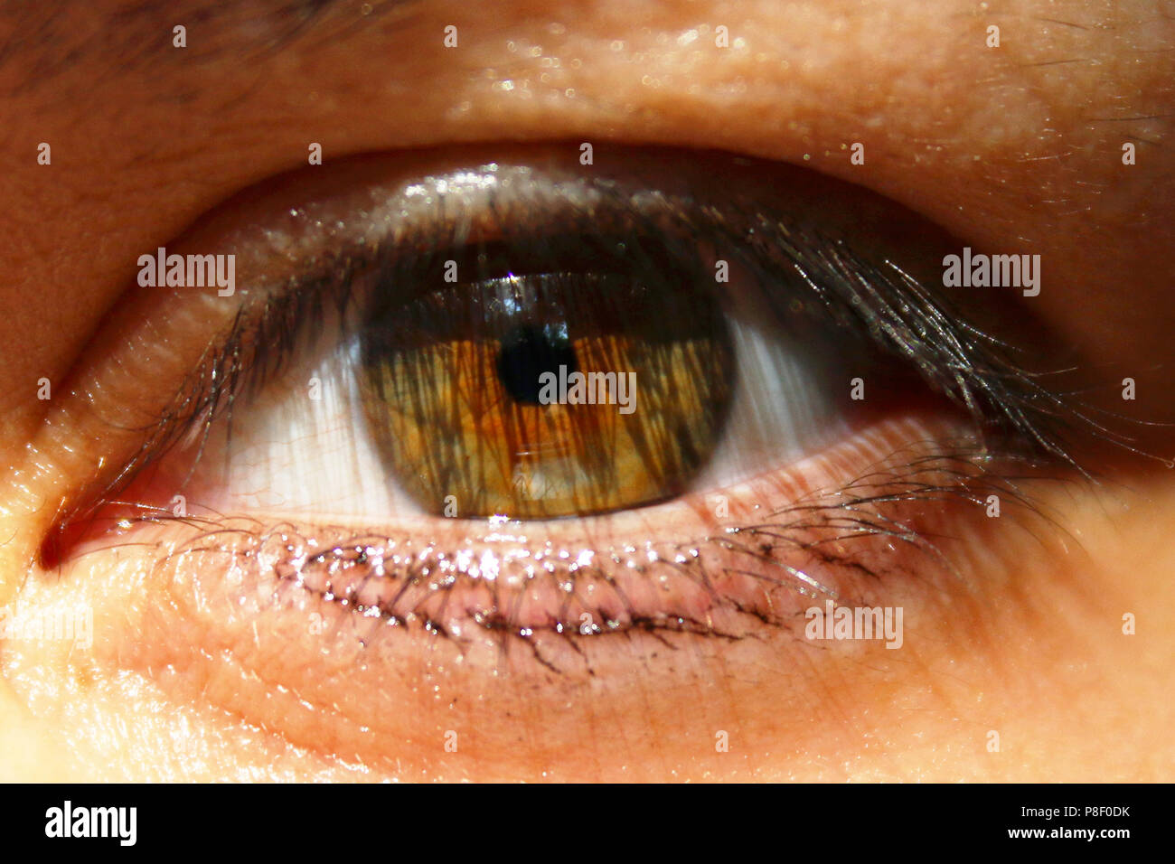 Eyelid Window High Resolution Stock Photography and Images - Alamy