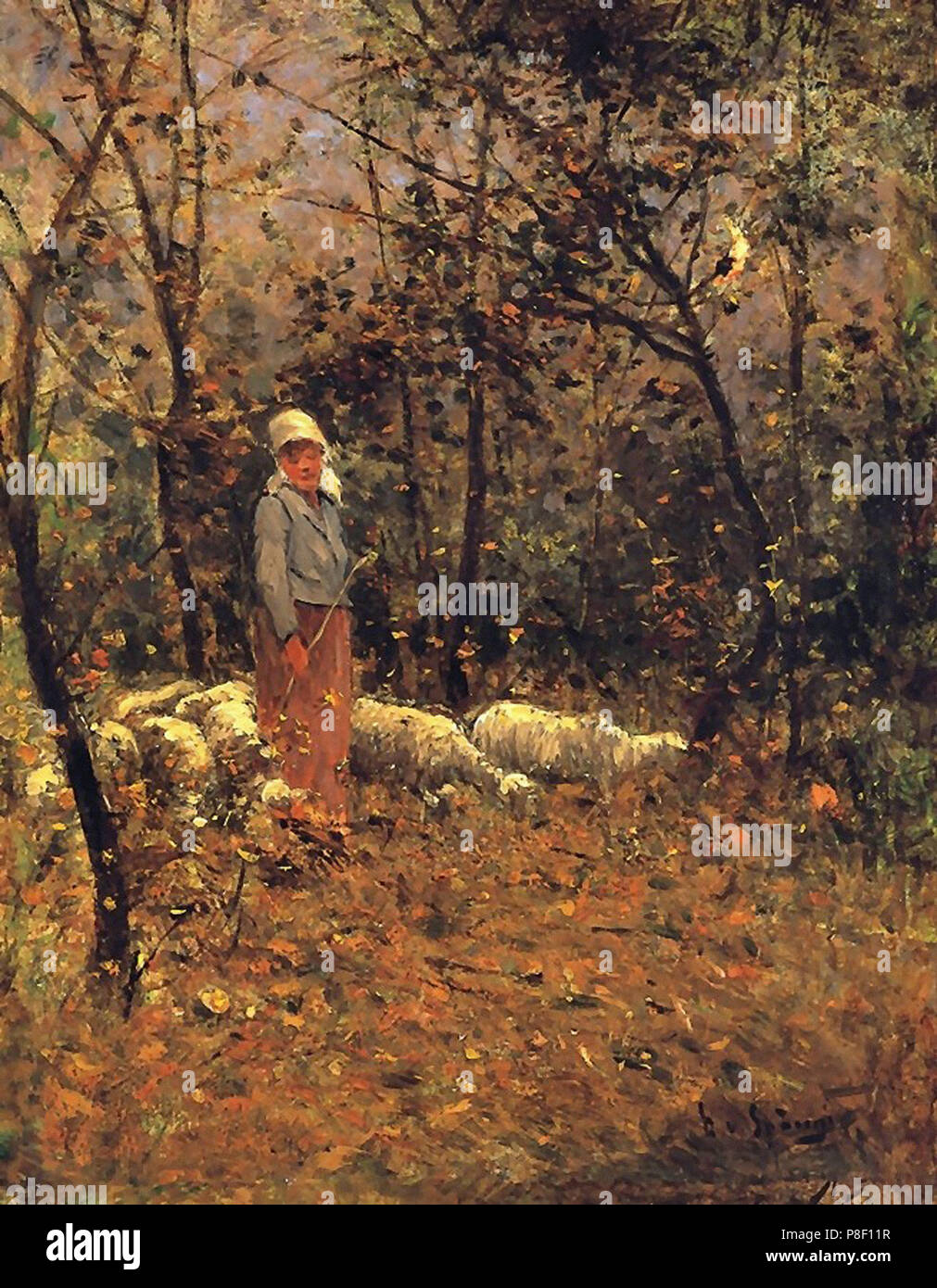 Spanyi Bela - in the Woods Stock Photo - Alamy