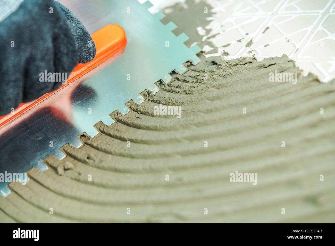 Installation of Ceramic Tiles. Mortar Placing on the Tile Stock Photo ...