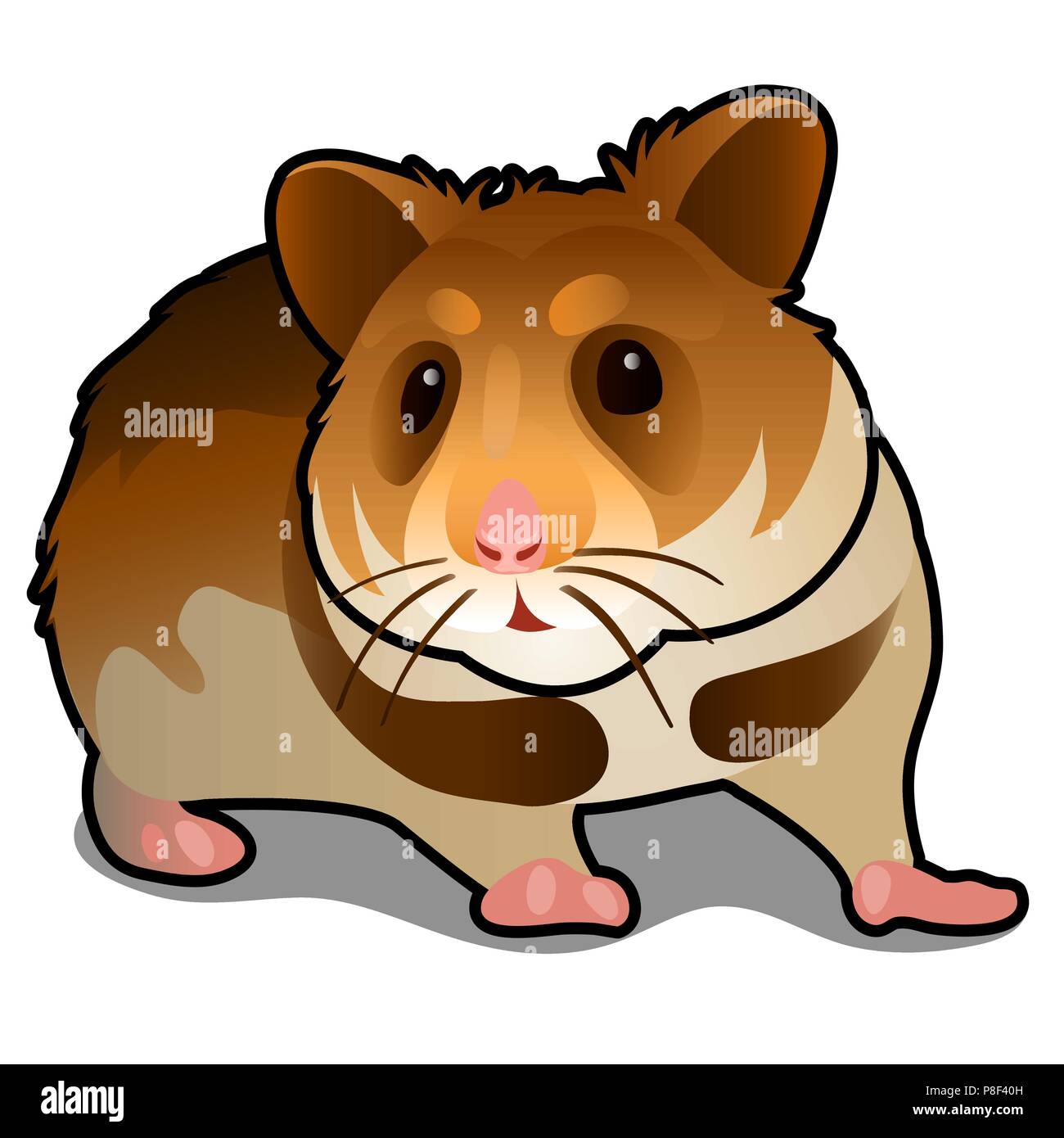 Field Mouse Vector