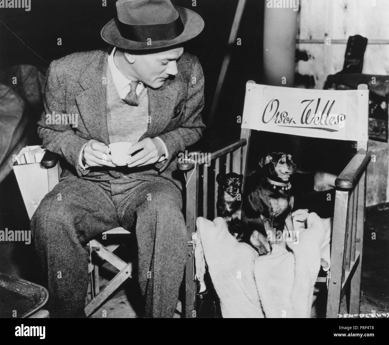 The Third Man (1949) Orson Welles, Joseph Cotten, Date: 1949 Stock ...